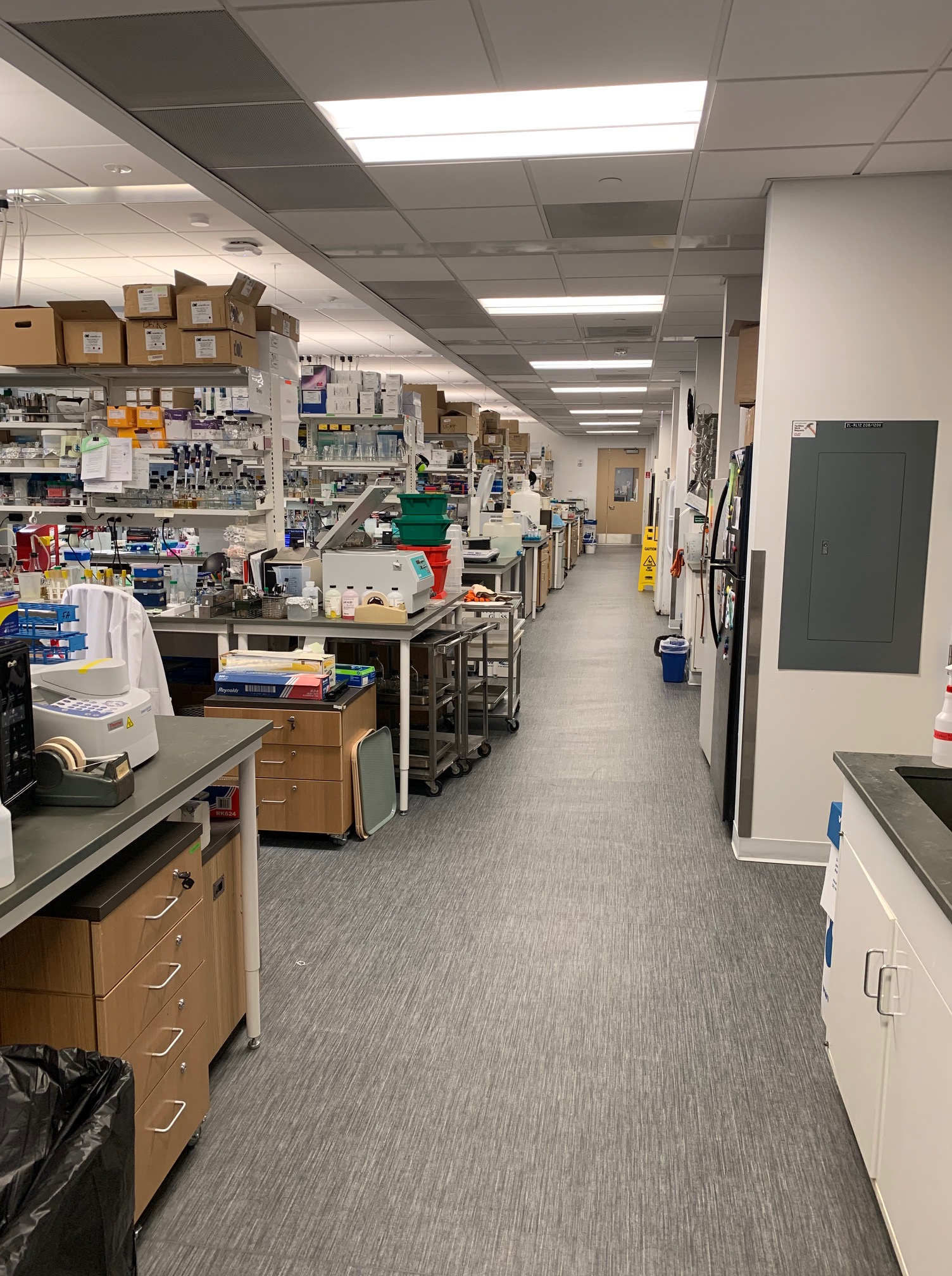 About – The Allen Lab